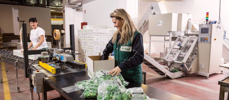 Vargon - Wienerberger