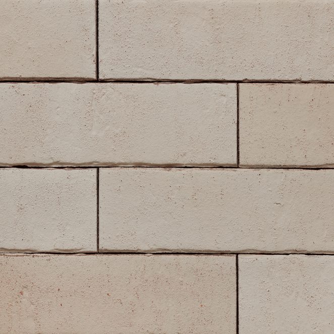 Pelaris Mantis White