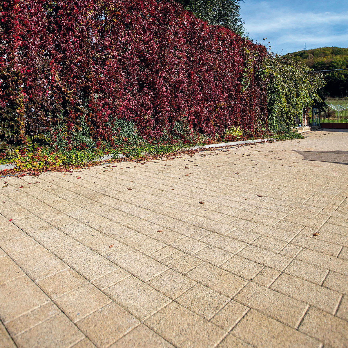 Pastella ploče tricolore