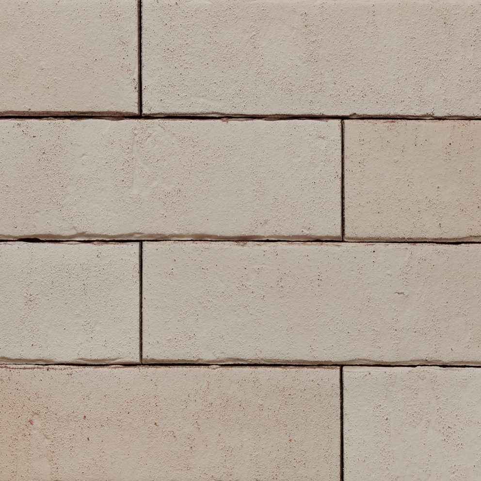 Pelaris Mantis White