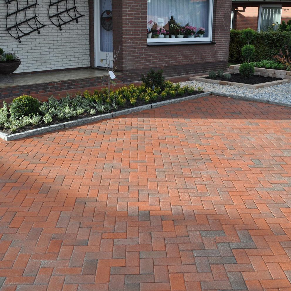 Penter Rotblaubunt